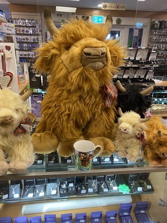 Big cow teddy store